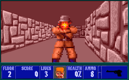 Wolfenstein 3D | play game online