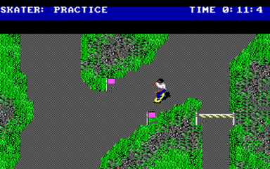 Skate or Die | play online